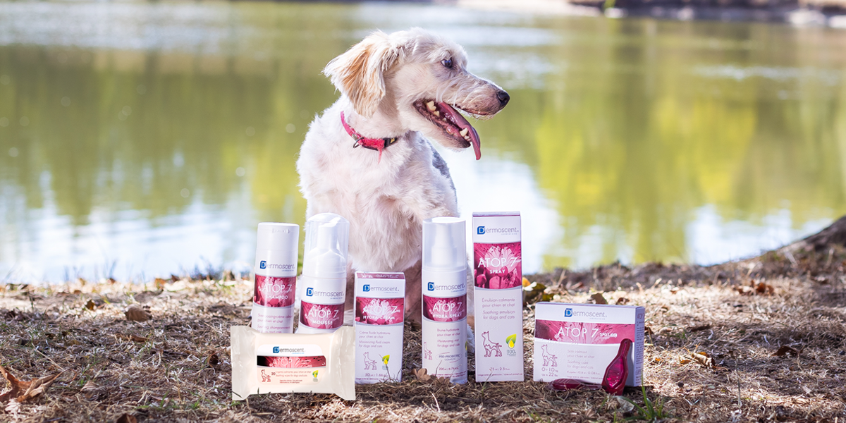 Introducing Dermoscent® ATOP7: Complete Skin Care for Pets