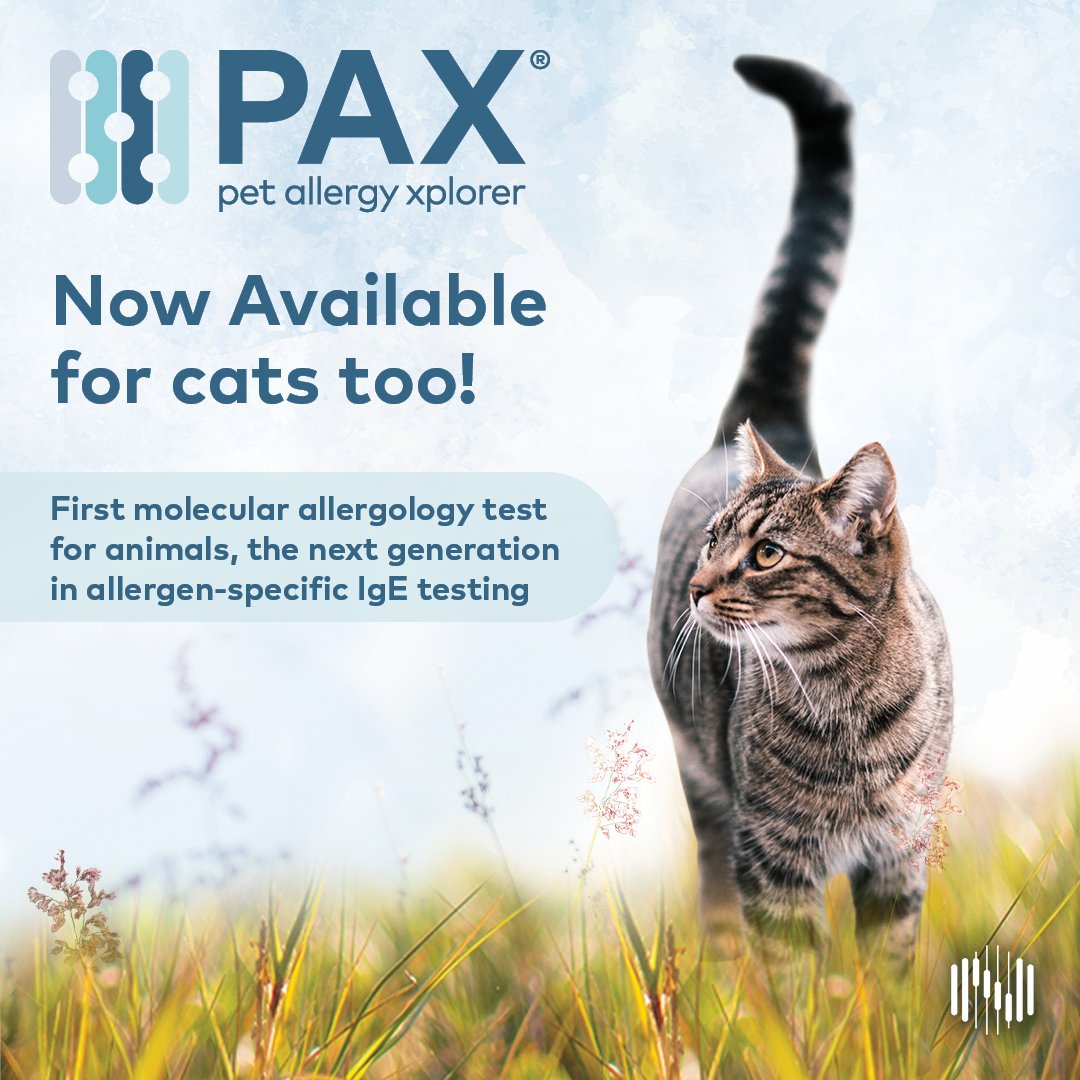 PAX® serum test is now available for cats!